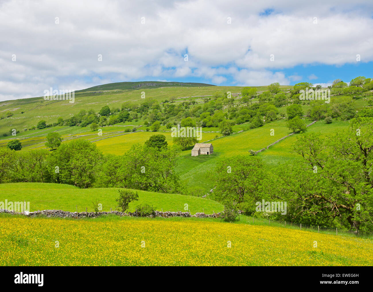 Barn in Langstrothdale, Yorkshire Dales National Park, North Yorkshire ...
