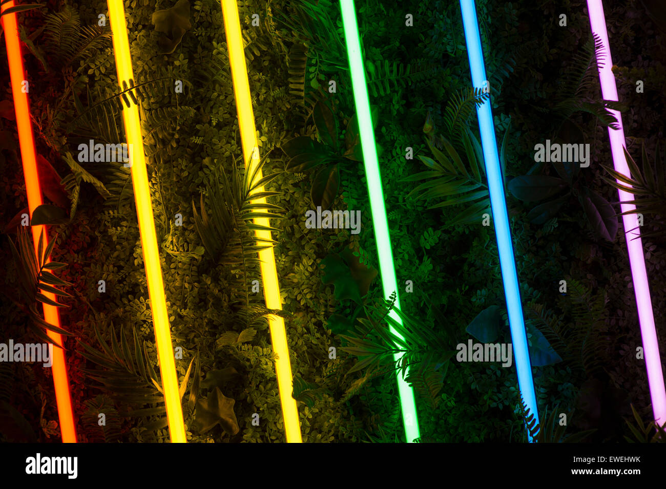 Fluorescent light tubes cast their brightly colored rainbow lights on a ...