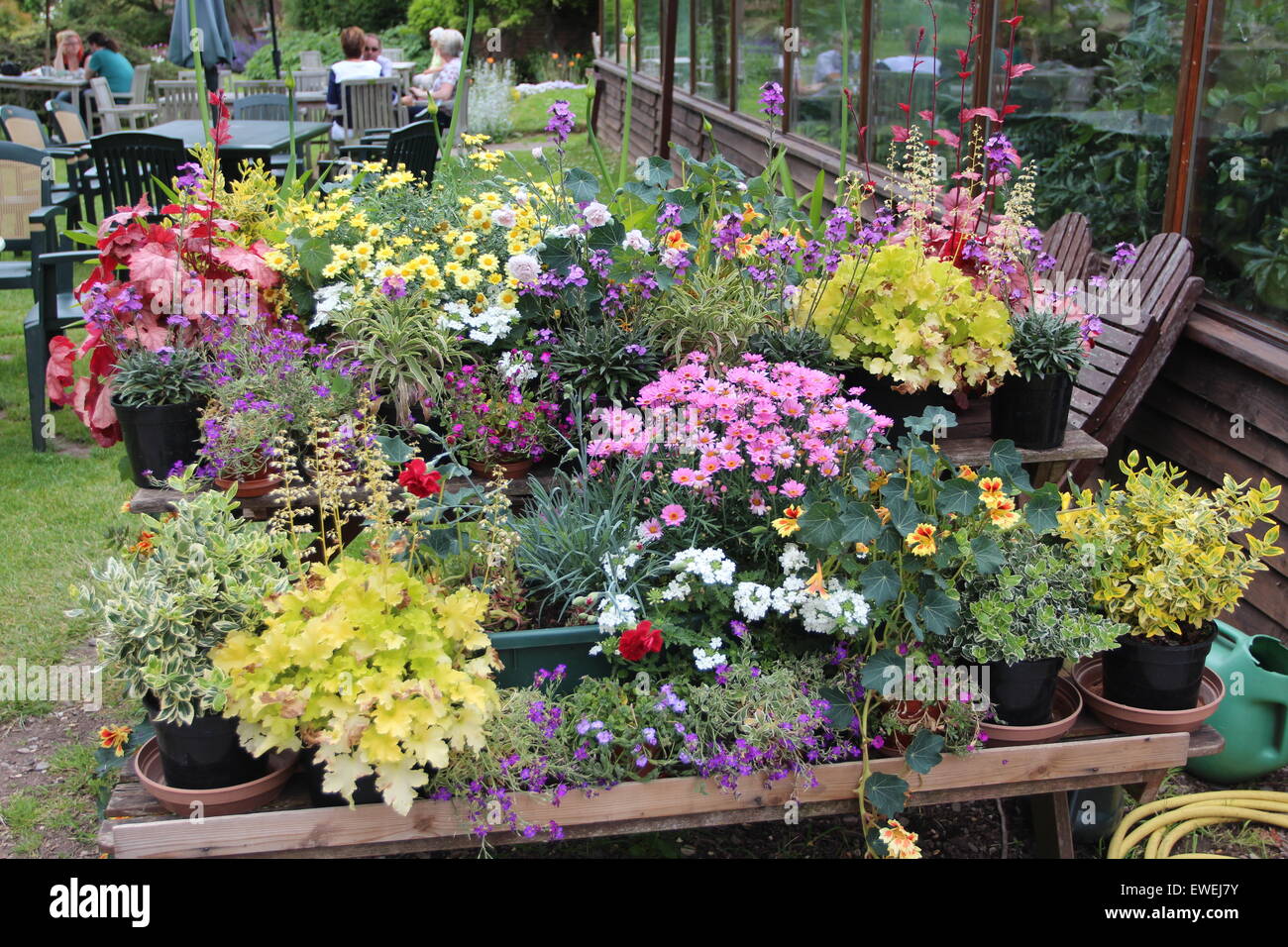 beautiful gardens lots of colour Stock Photo - Alamy