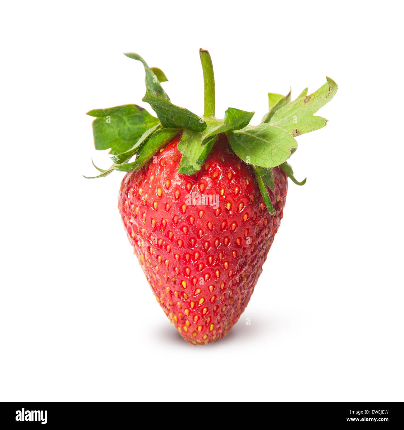 Single strawberry Cut Out Stock Images & Pictures - Alamy