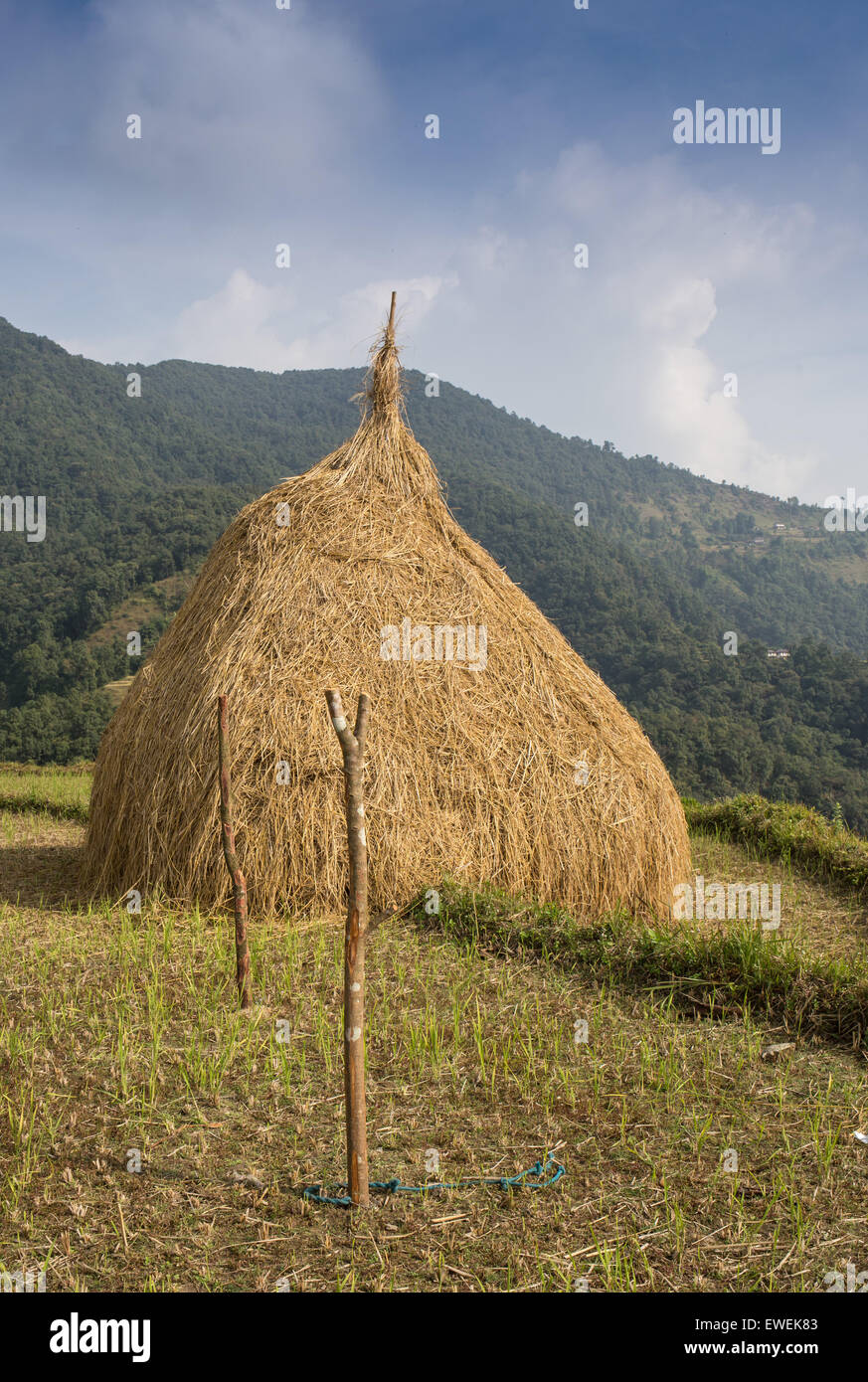 Rural landscape with fields and houses Stock Photo - Alamy