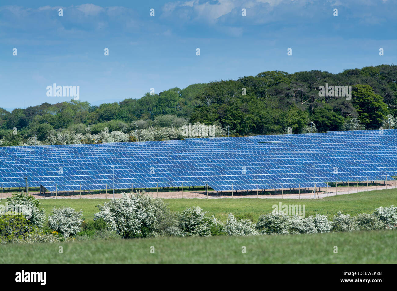 Aspatria solar farm hi-res stock photography and images - Alamy