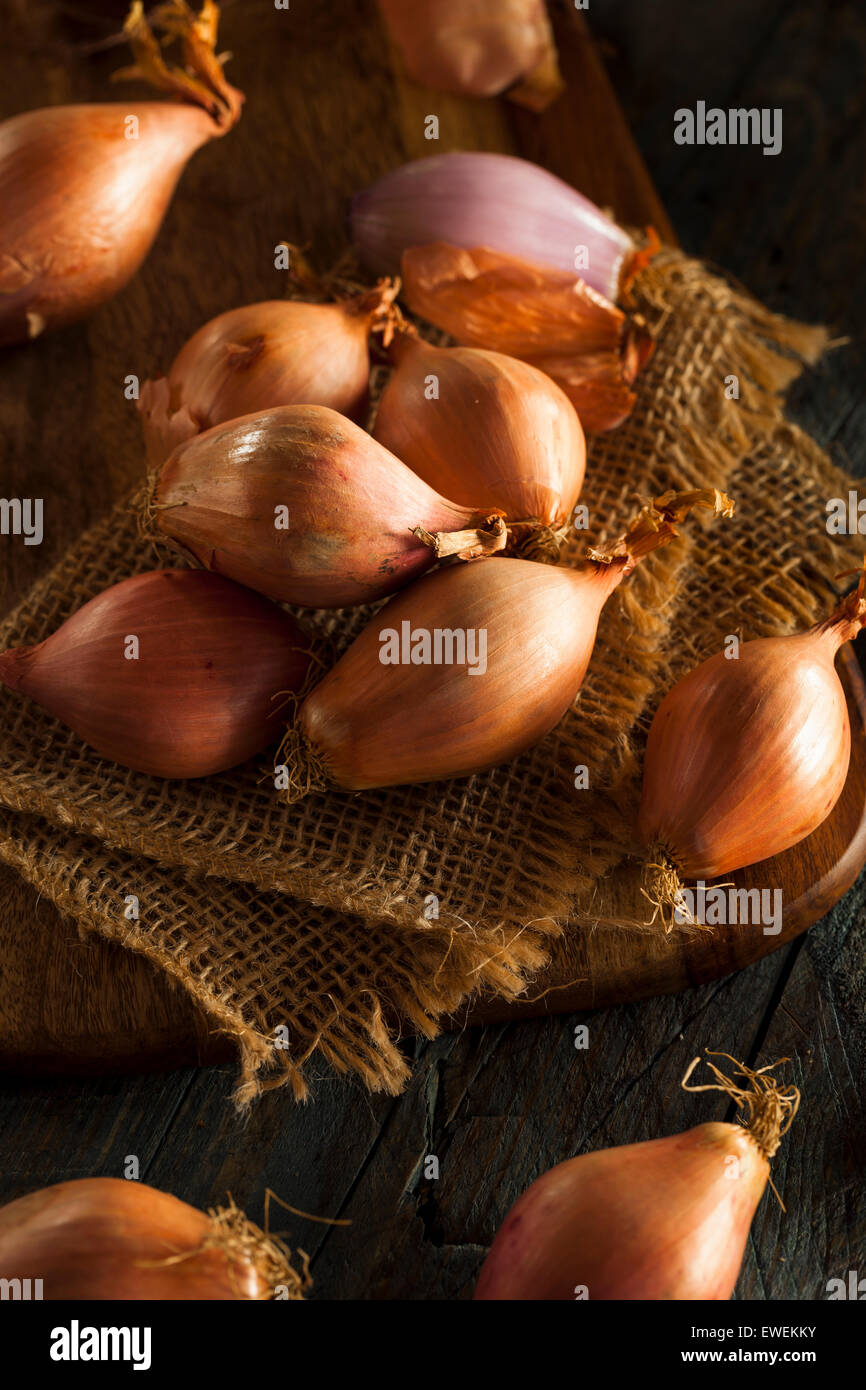 Raw Organic Spicy Shallots on a Background Stock Photo - Alamy