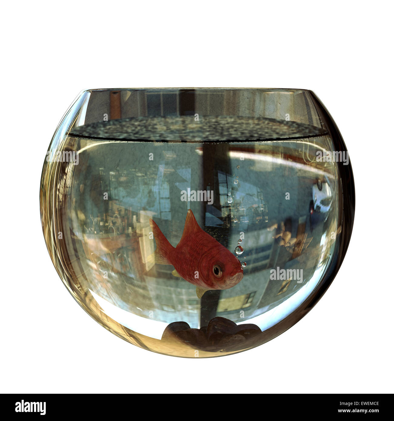 red fish in a glass bowl Stock Photo - Alamy