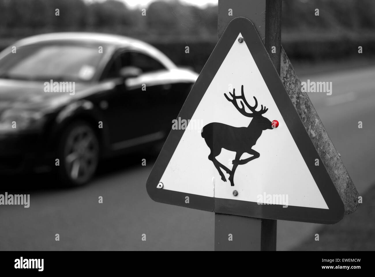 Beware of Rudolph sign / Christmas road sign Stock Photo - Alamy
