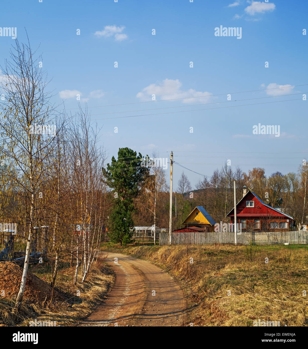 Dense forest light spot hi-res stock photography and images - Alamy
