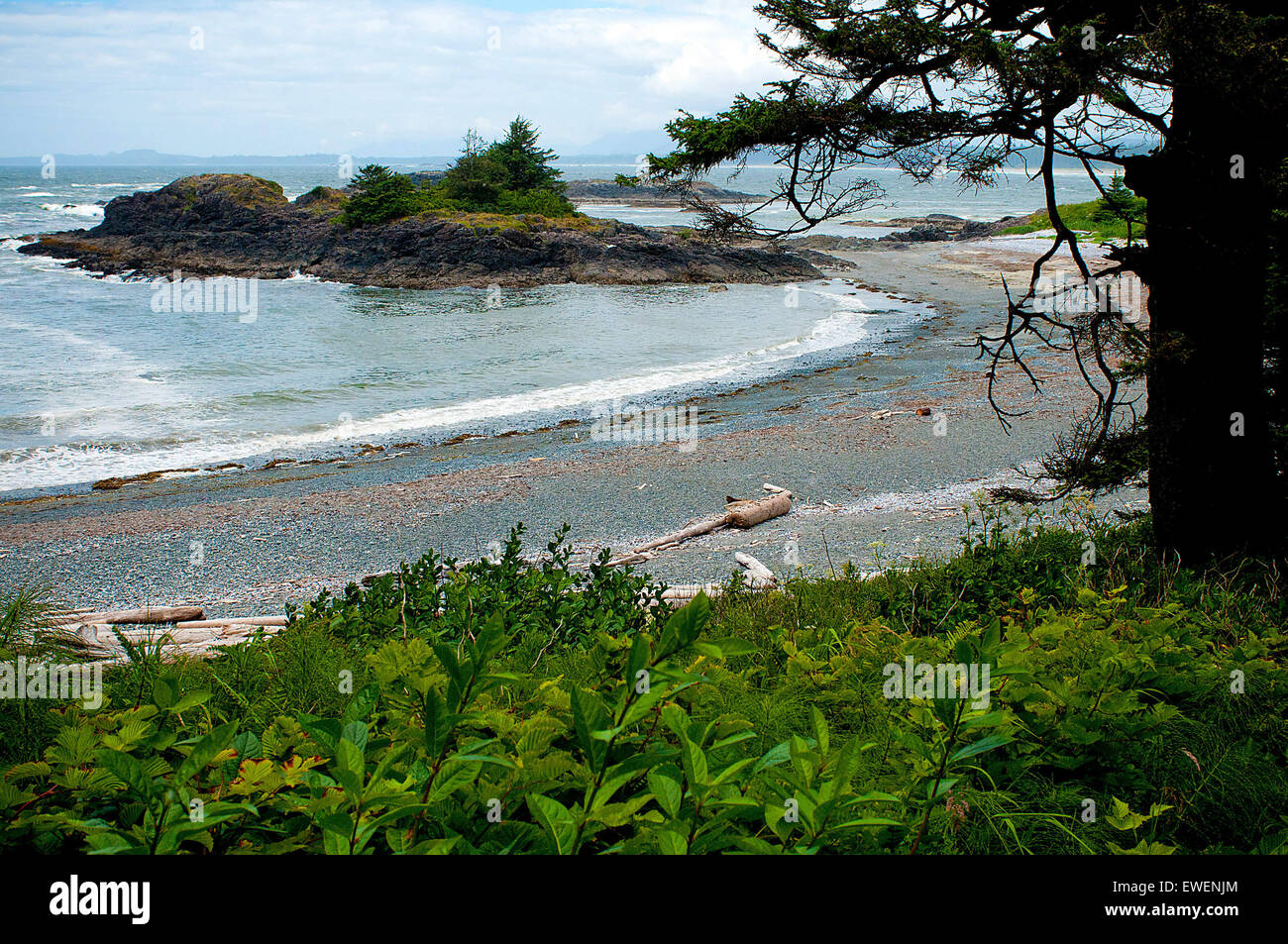 Coastline along Long Beach, Vancouver Island, British Columbia, Canada ...