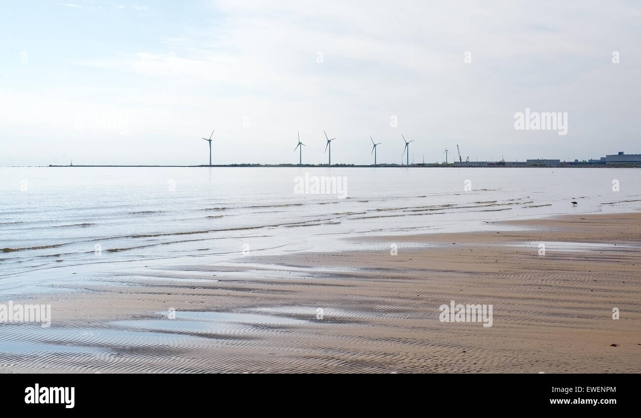 Seaside wind power turbines sunny afternoon beach landscape in Halland ...