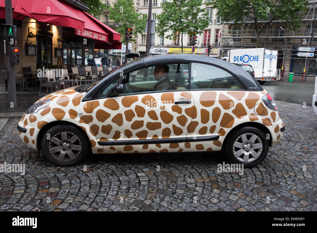 A Citroen Pluriel car with an exterior reticulated paint pattern in ...
