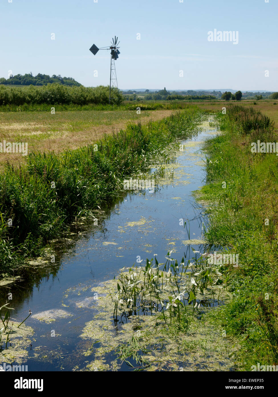 Dyke and wind powered water pump on the Somerset Levels, UK Stock Photo ...