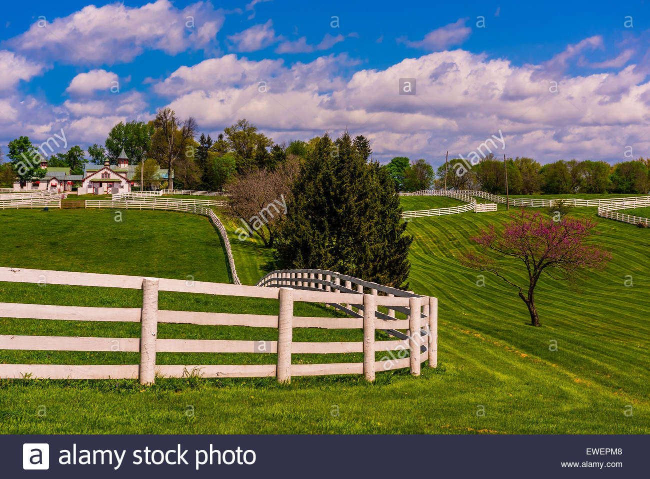 Calumet Farm Stock Photos & Calumet Farm Stock Images - Alamy