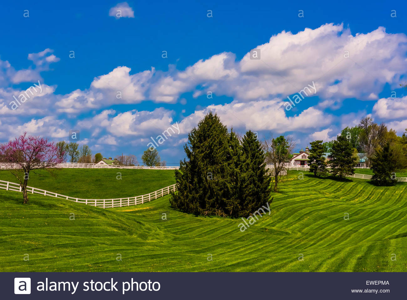 Calumet Farm Stock Photos & Calumet Farm Stock Images - Alamy