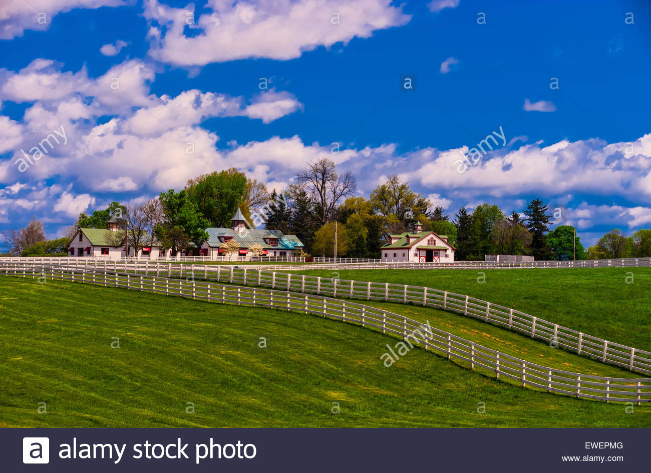 Calumet Farm Stock Photos & Calumet Farm Stock Images - Alamy