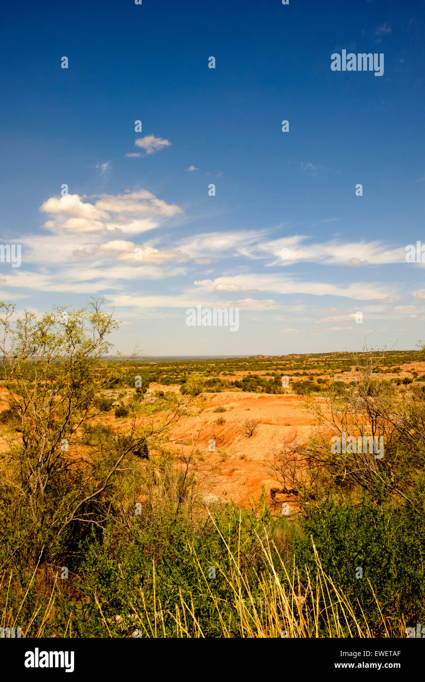 Scrub brush and sky Northern Texas, Dickens County Stock Photo - Alamy