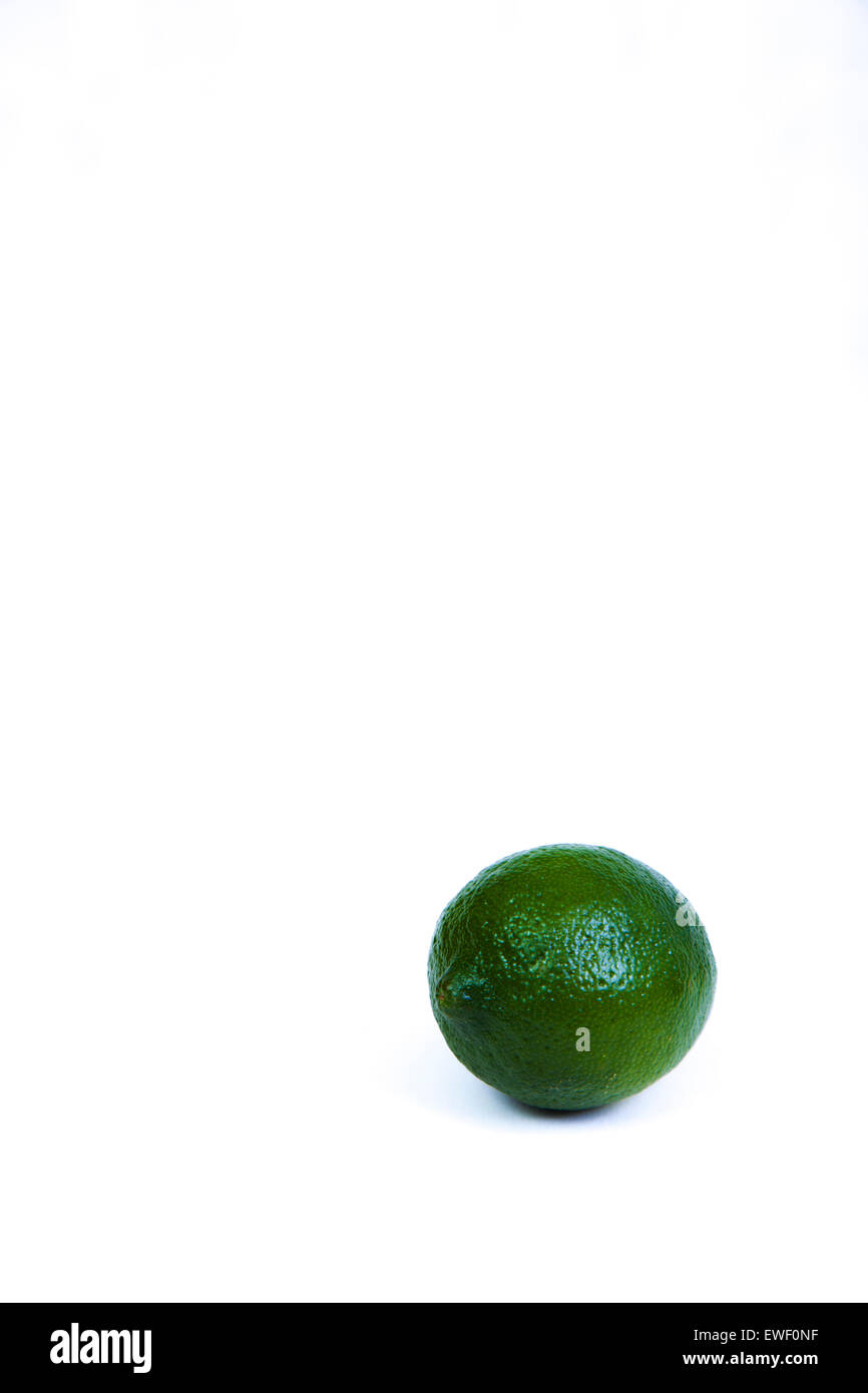 Single Lime Fruit Against White Background with Space for Editorial ...
