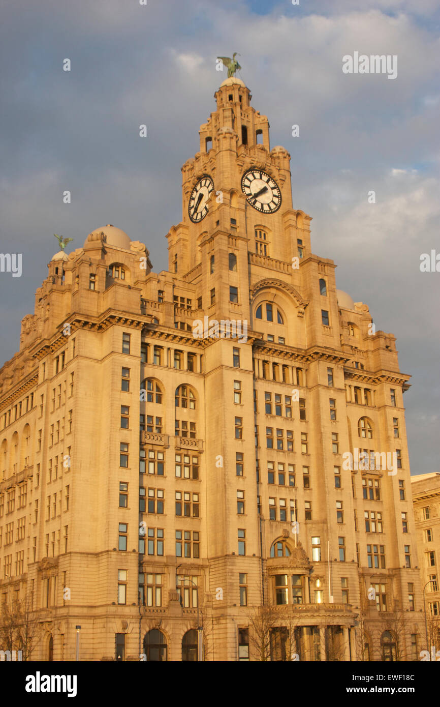 Liver building in Liverpool Stock Photo - Alamy