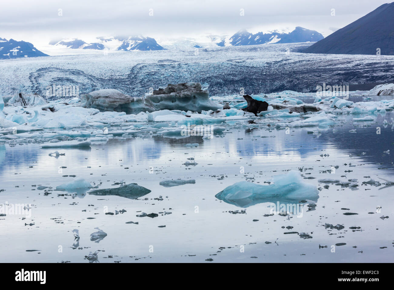 Ice lagoon in Iceland Stock Photo - Alamy