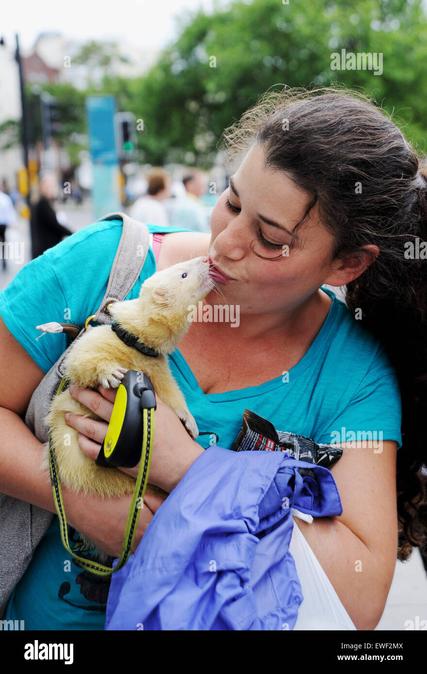 Lady with a ferret hi-res stock photography and images - Alamy