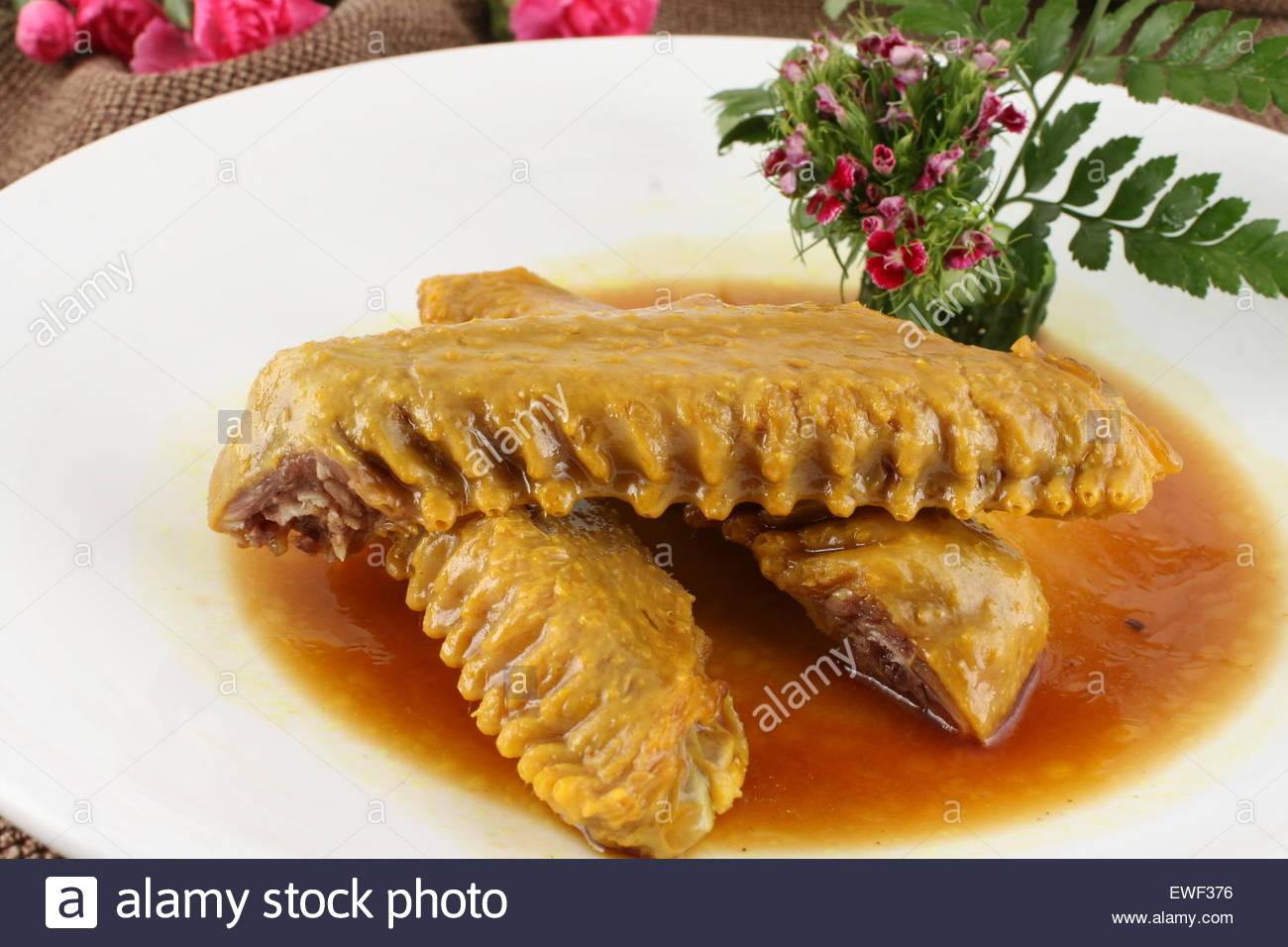 Goose Feet Stock Photos & Goose Feet Stock Images - Alamy