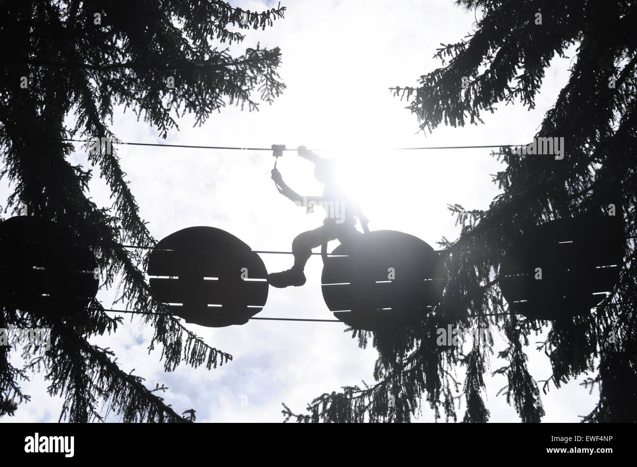People in silhouette crossing the void on a tree trail Stock Photo - Alamy