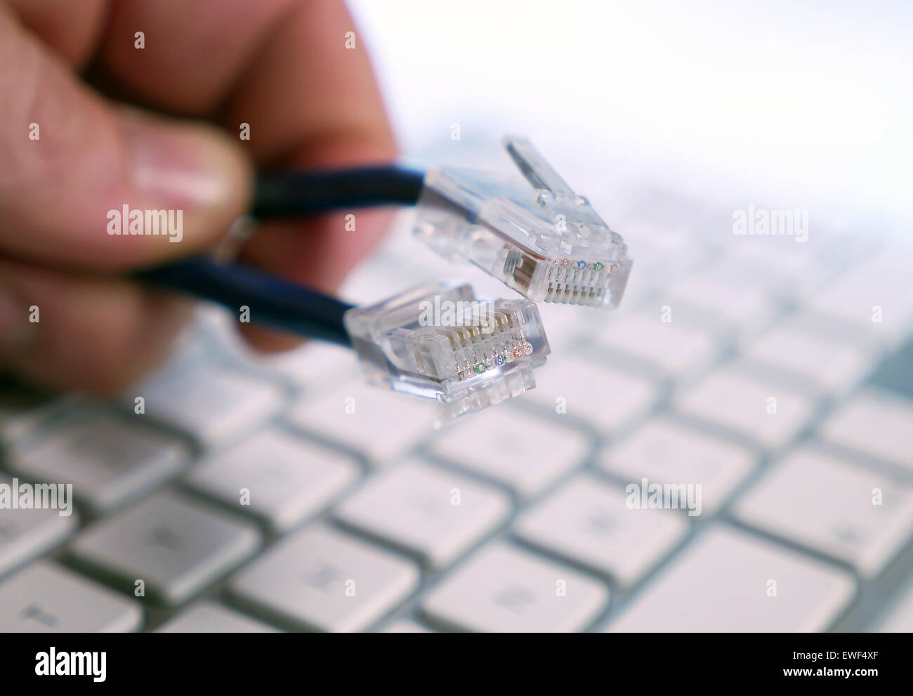 hands holding ethernet cables Stock Photo - Alamy