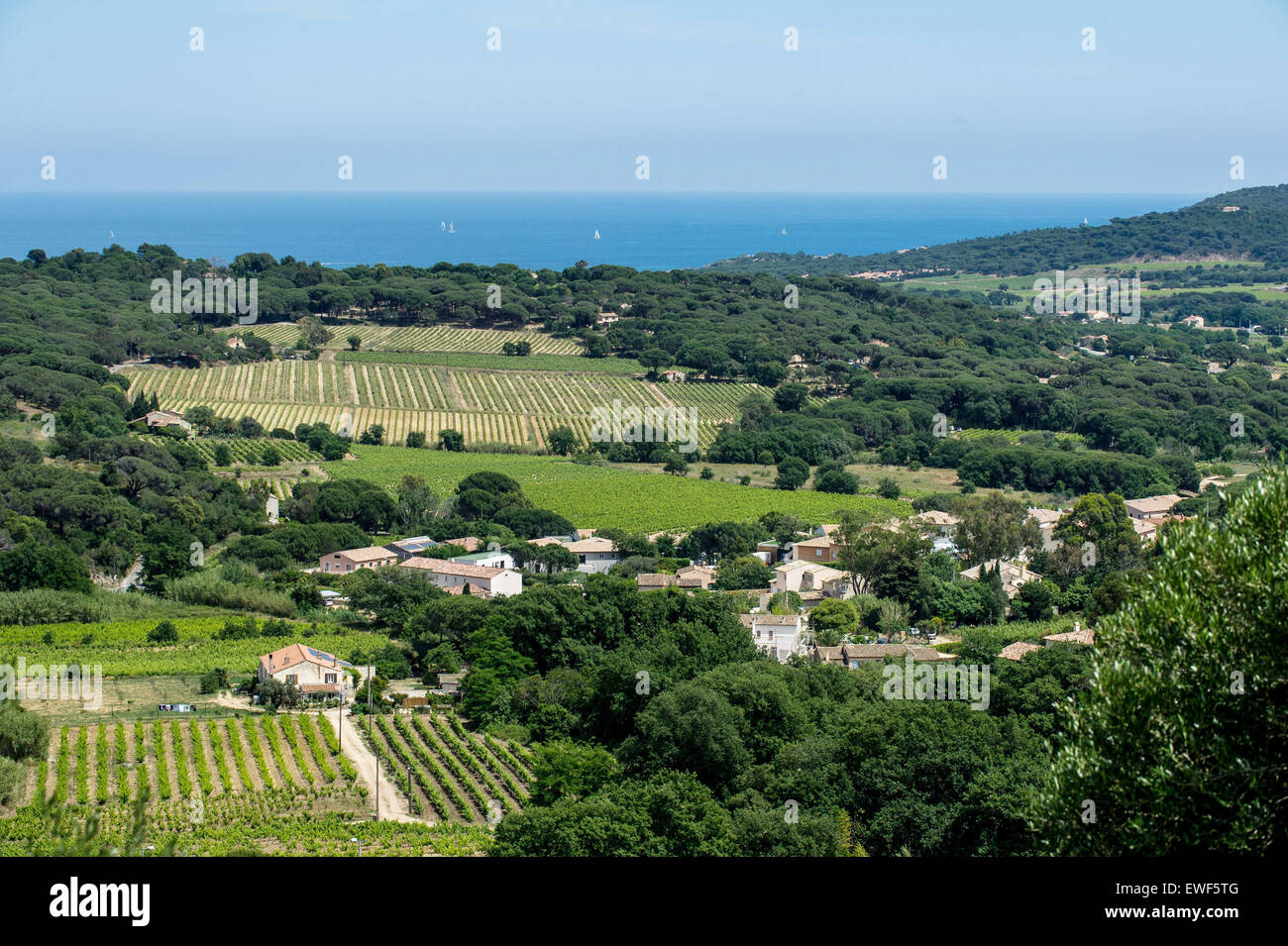 Ramatuelle (north-eastern France): rural landscape in the surrounding ...