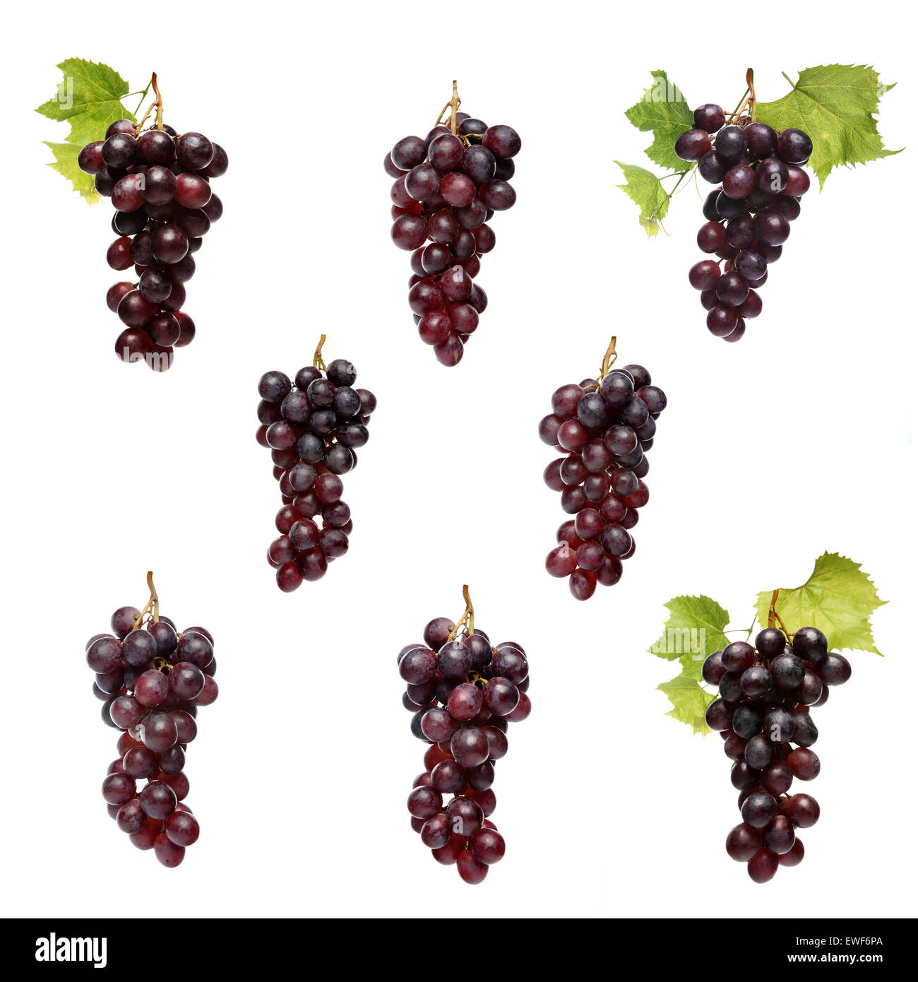 Grapes on white background - close-up Stock Photo - Alamy