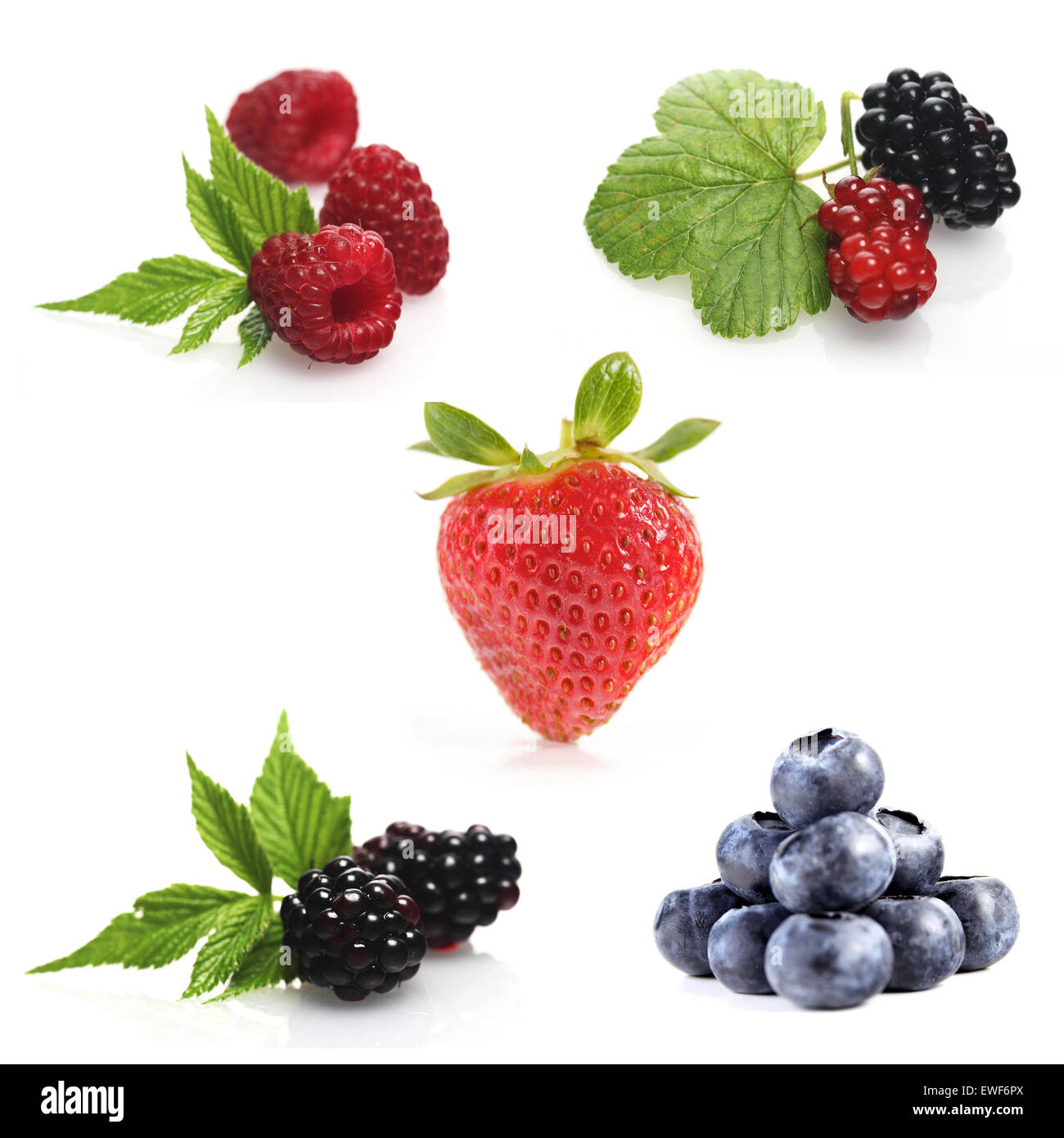 Berries on white background - close-up Stock Photo - Alamy