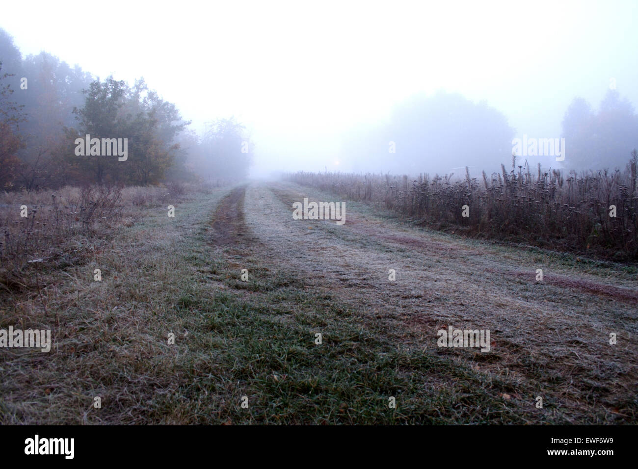 View of road on meadow Stock Photo - Alamy