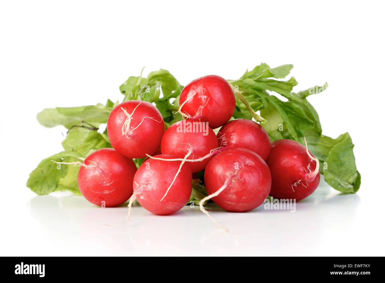 Bunch of raddish - studio shot Stock Photo - Alamy