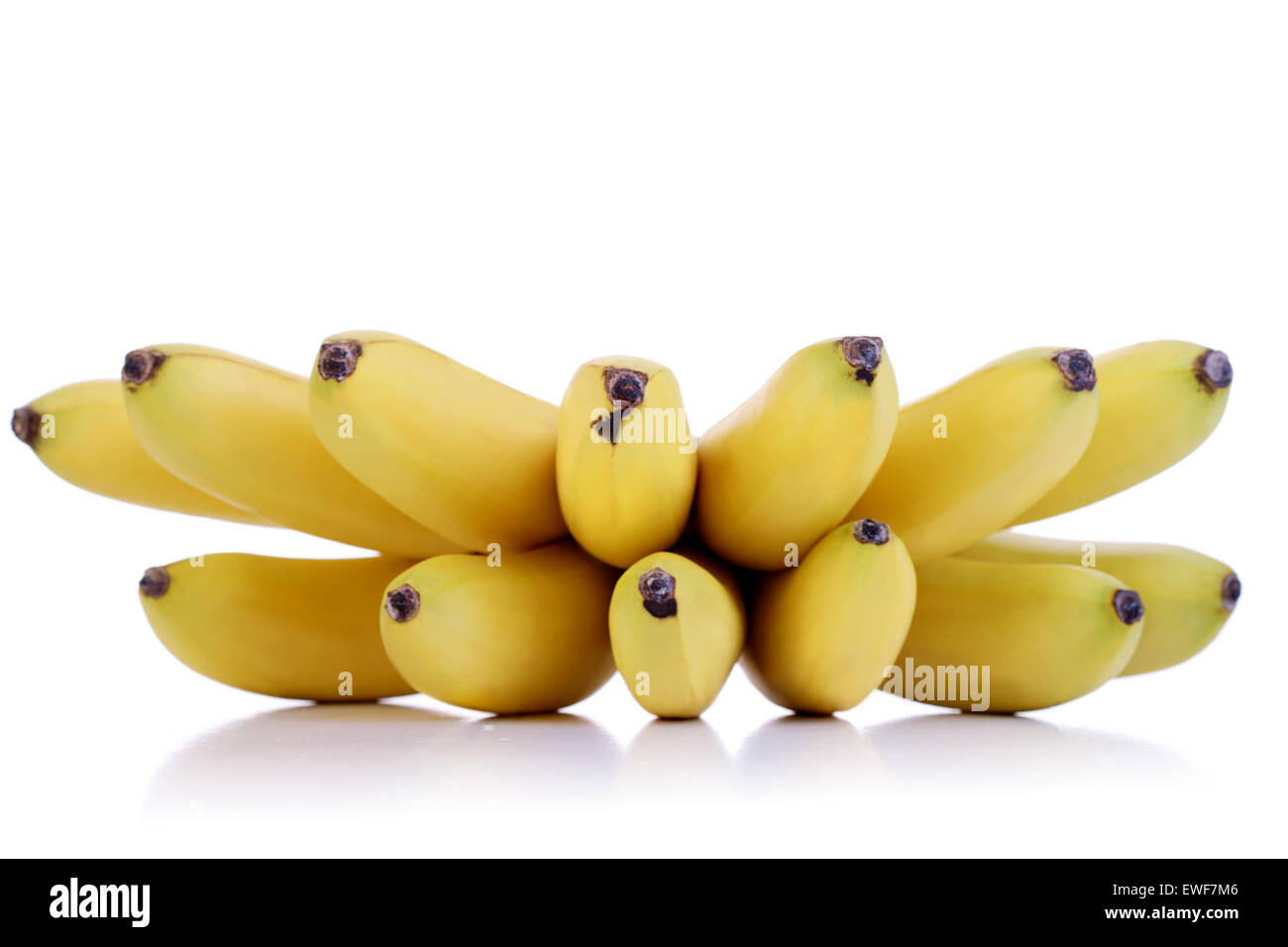Studio shot of small bananas Stock Photo - Alamy