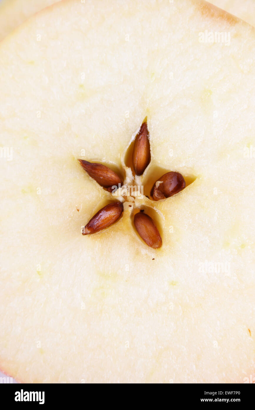 Close-up of apples seeds Stock Photo - Alamy
