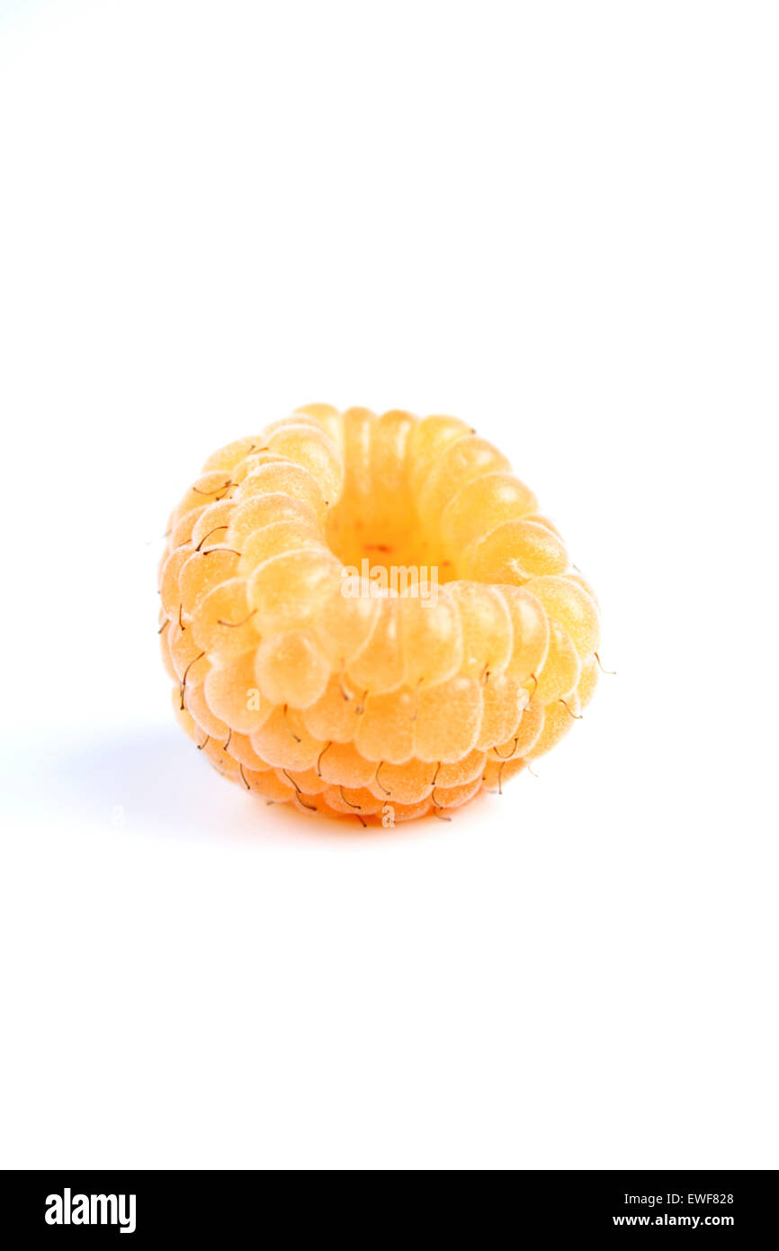 White raspberries - studio shot Stock Photo - Alamy