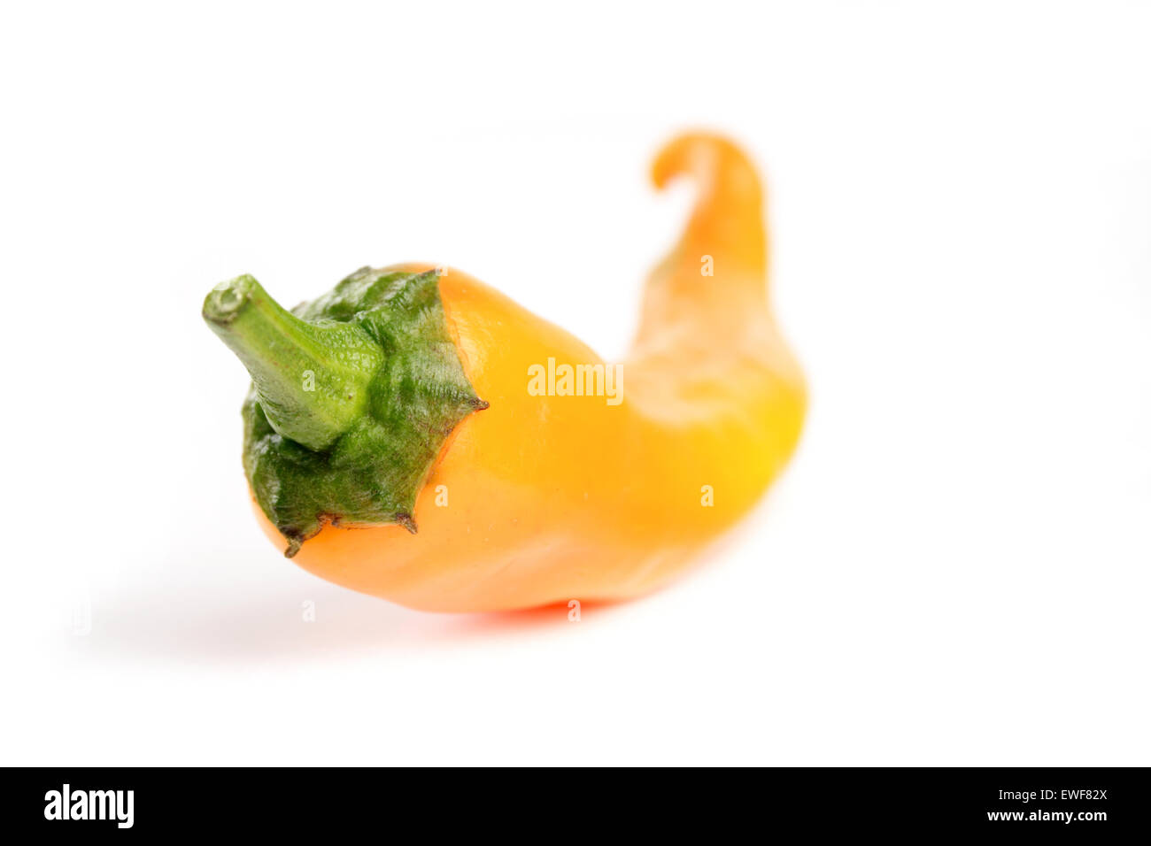Close-up of yellow chilli pepper Stock Photo - Alamy