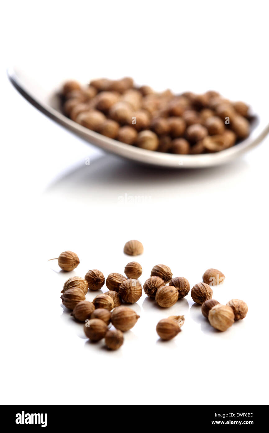 Mustard seeds - studio shot Stock Photo - Alamy