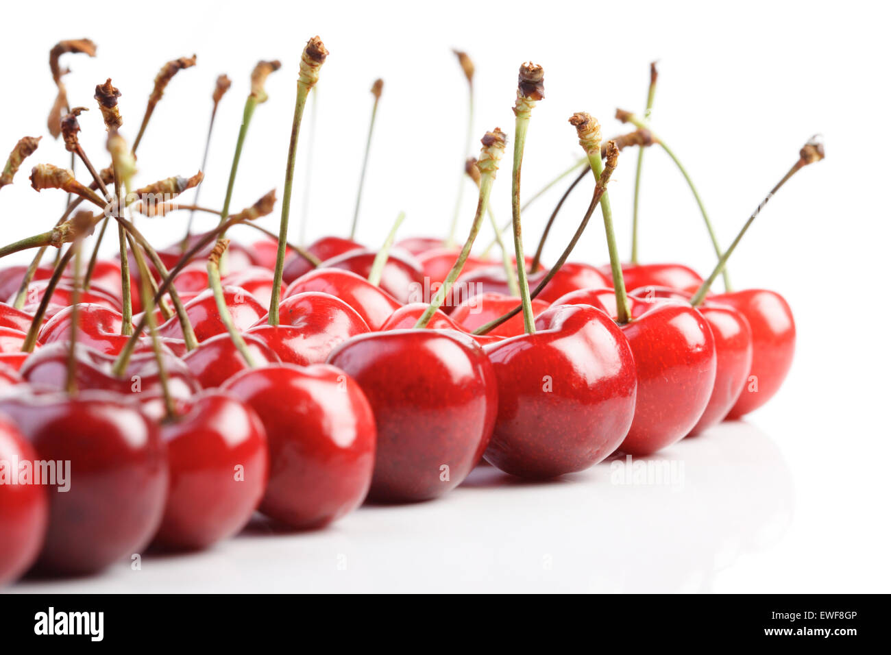 Cherries on white background - close up Stock Photo - Alamy
