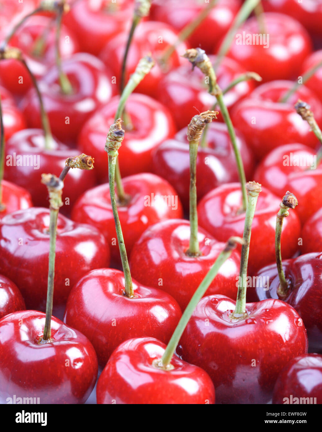 Cherries background hi-res stock photography and images - Alamy