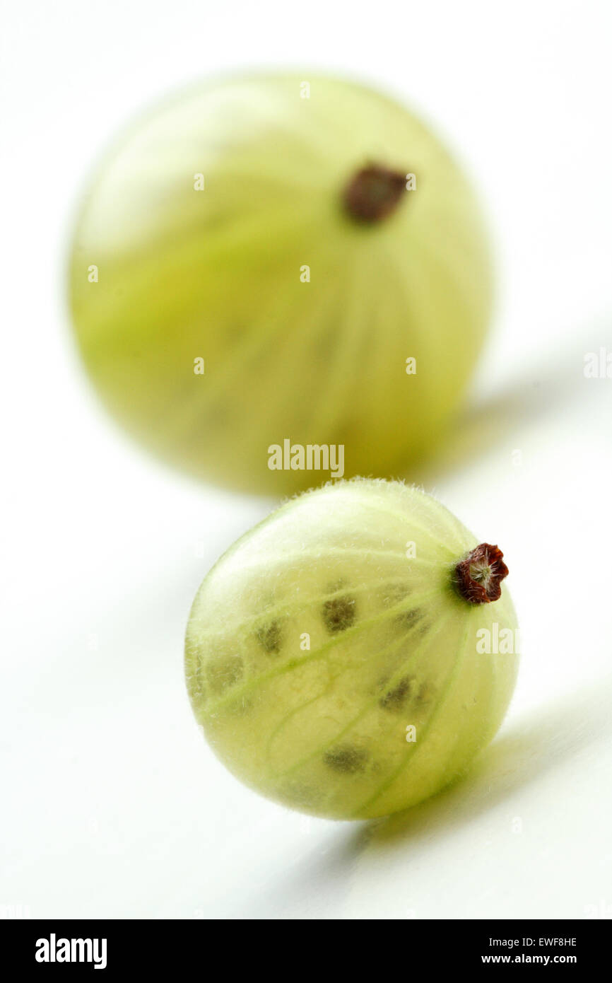 Studio shot of gooseberry fruits Stock Photo - Alamy