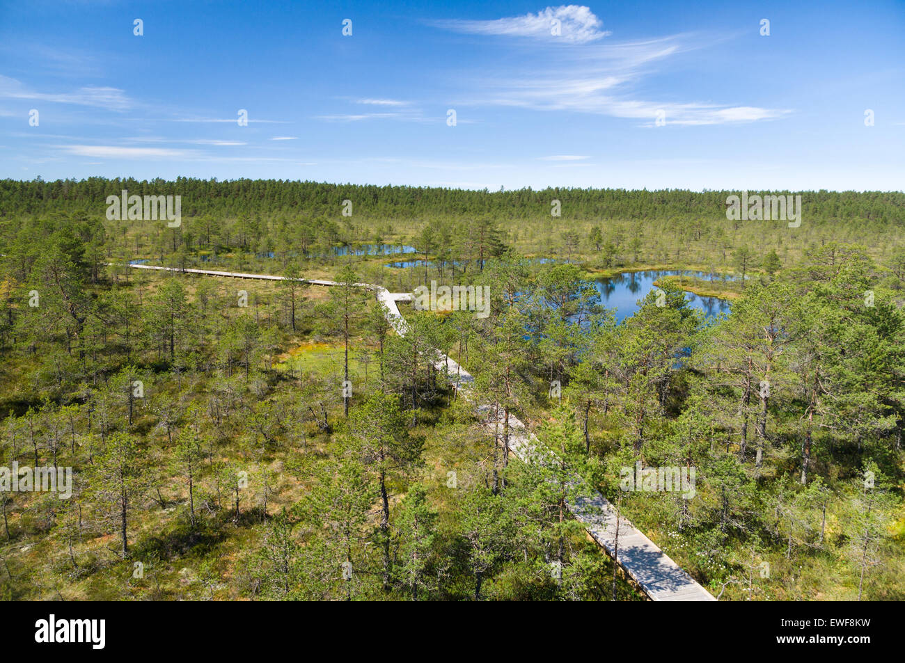 Hiking trail through bog area, top view Stock Photo - Alamy