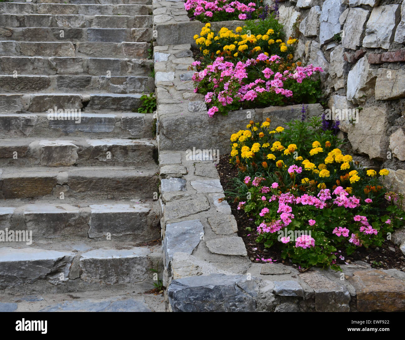 Old stairs in the park Stock Photo - Alamy