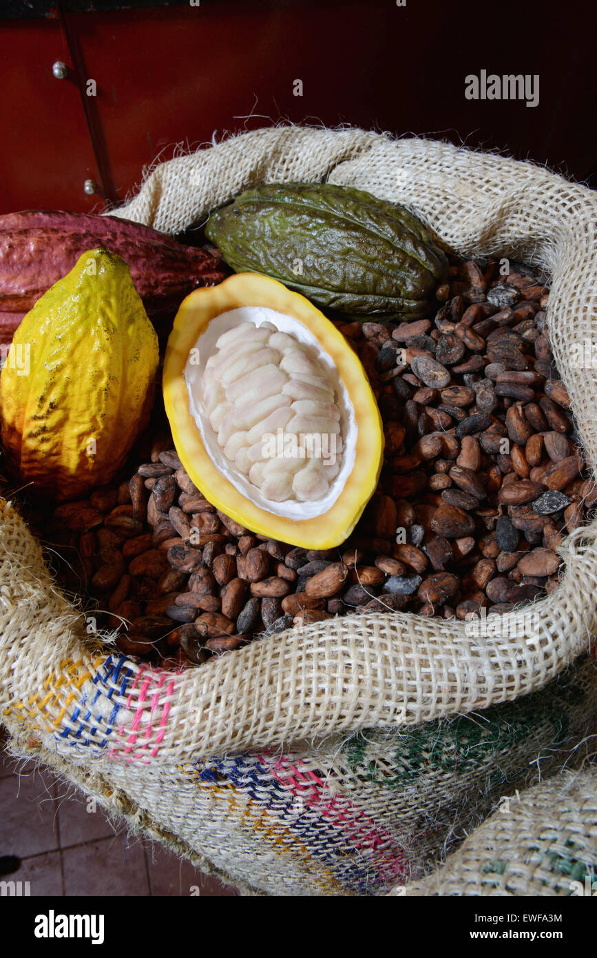 Cocoa pod feeding hi-res stock photography and images - Alamy