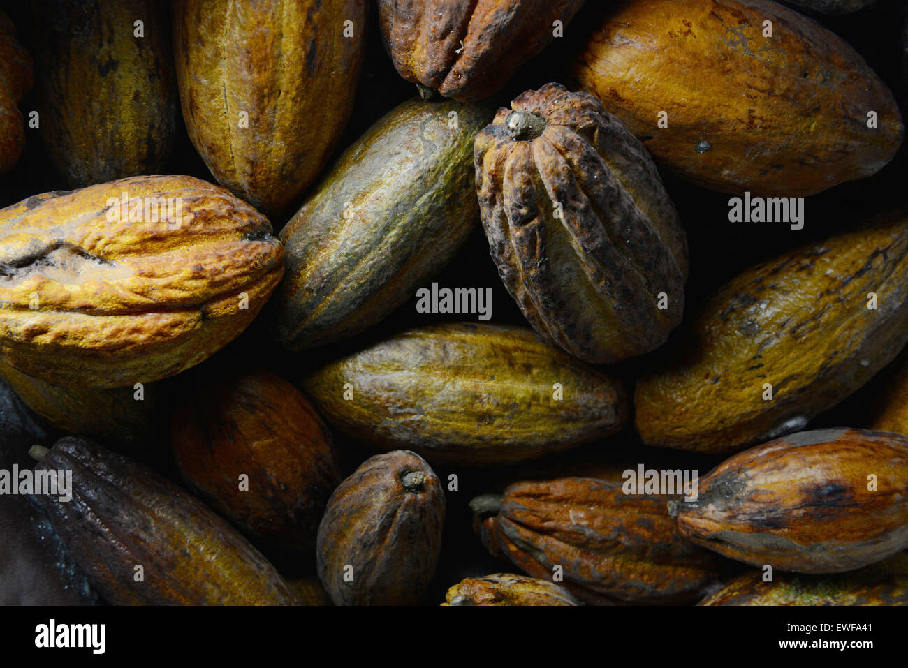 Tain l'Hermitage (south-eastern France): chocolate factory "Cité du ...