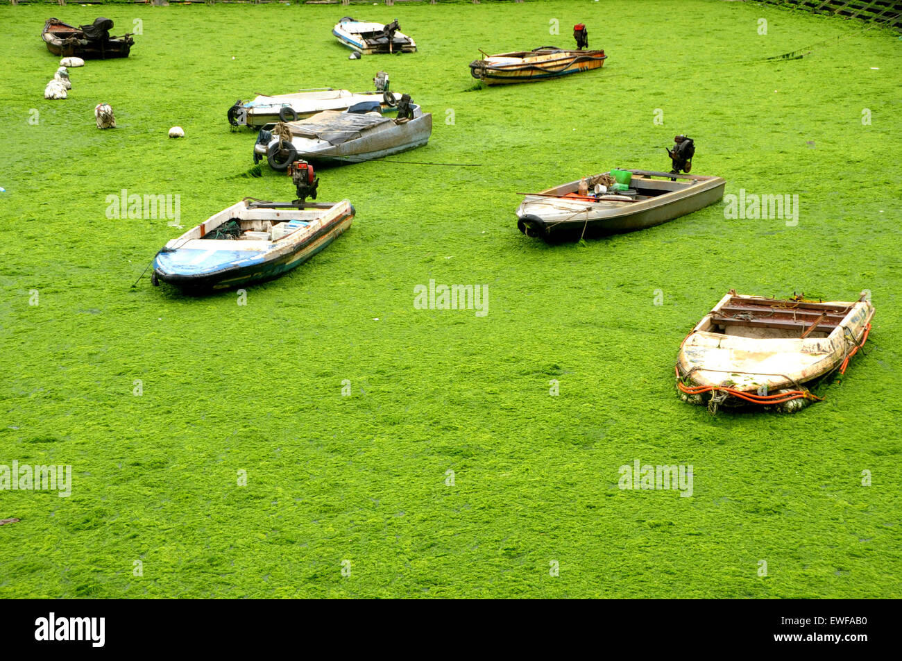 Jiangsu coast hi-res stock photography and images - Alamy
