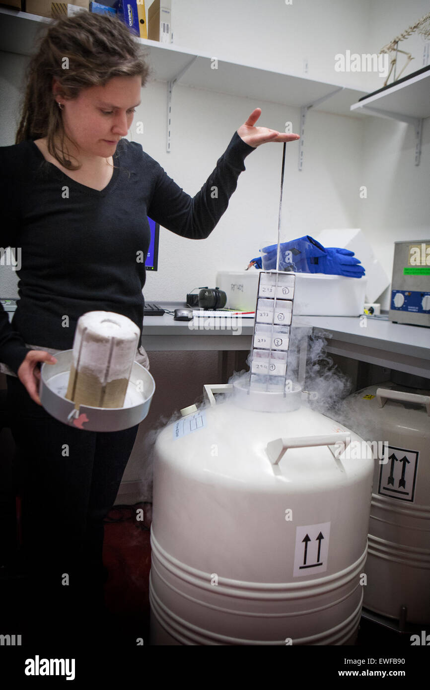 Cryogenic freezing humans hi-res stock photography and images - Alamy