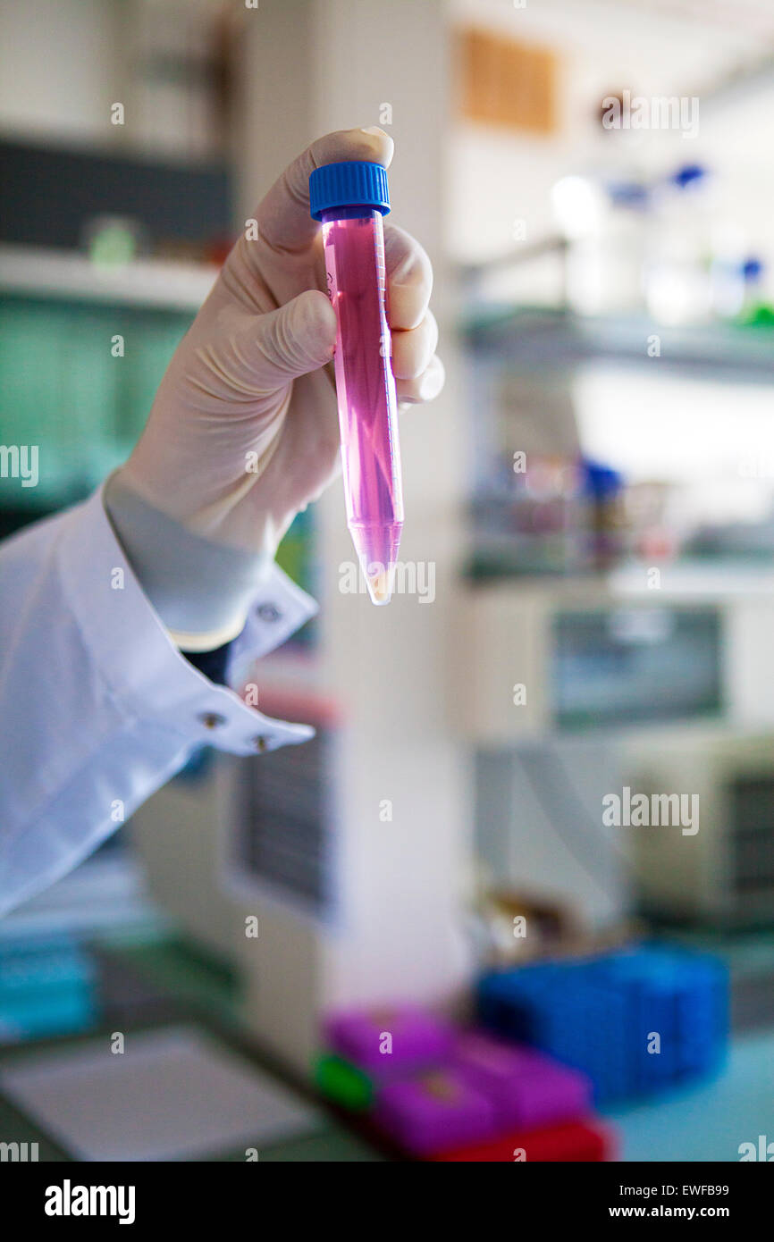 Bioprinting laboratory hi-res stock photography and images - Alamy