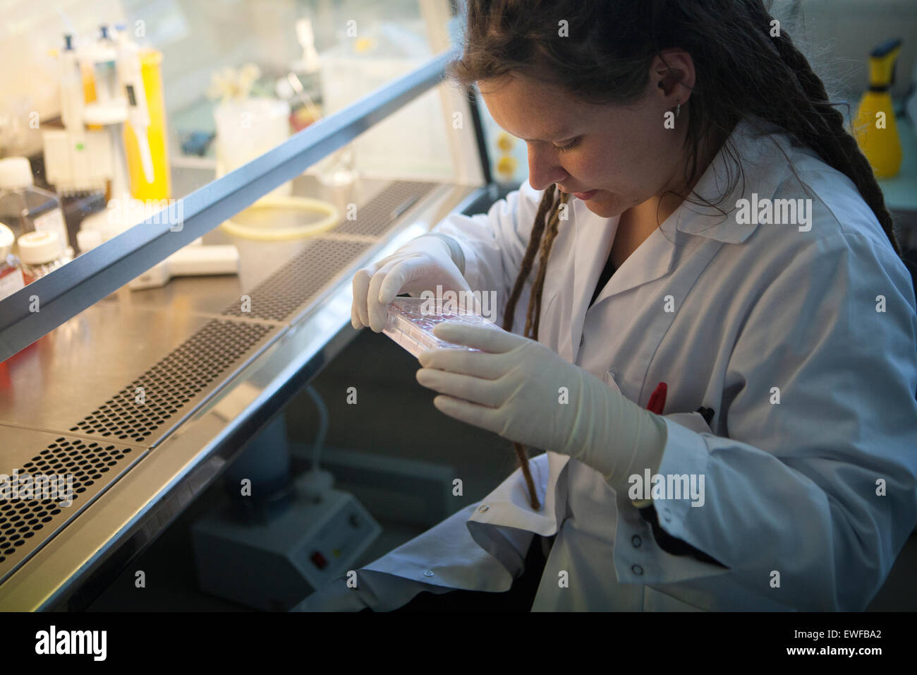 Bioprinting lab hi-res stock photography and images - Alamy