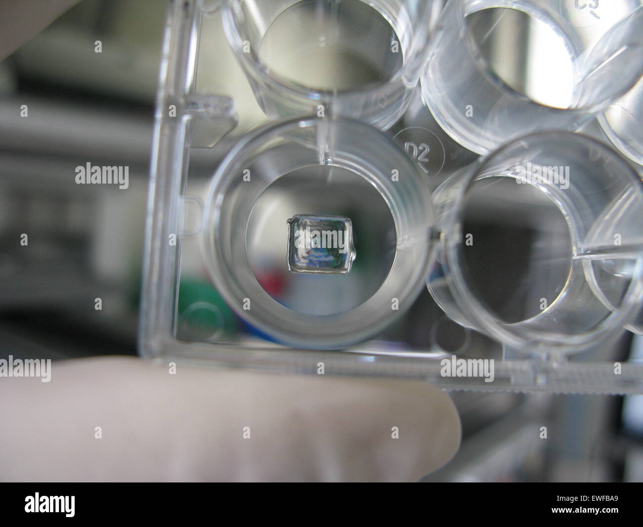 Bioprinting lab hi-res stock photography and images - Alamy