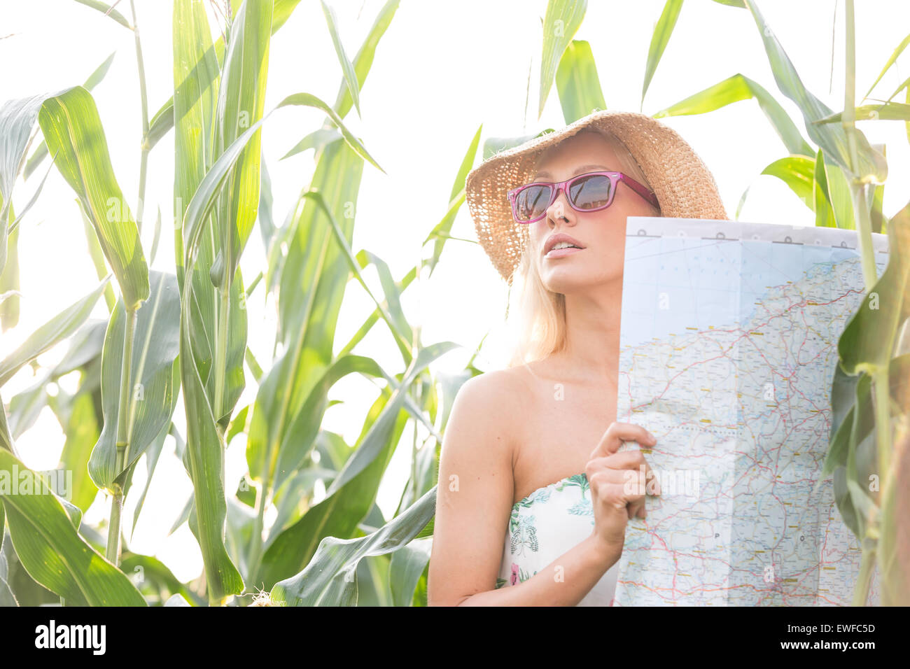 Person holding map hi-res stock photography and images - Alamy