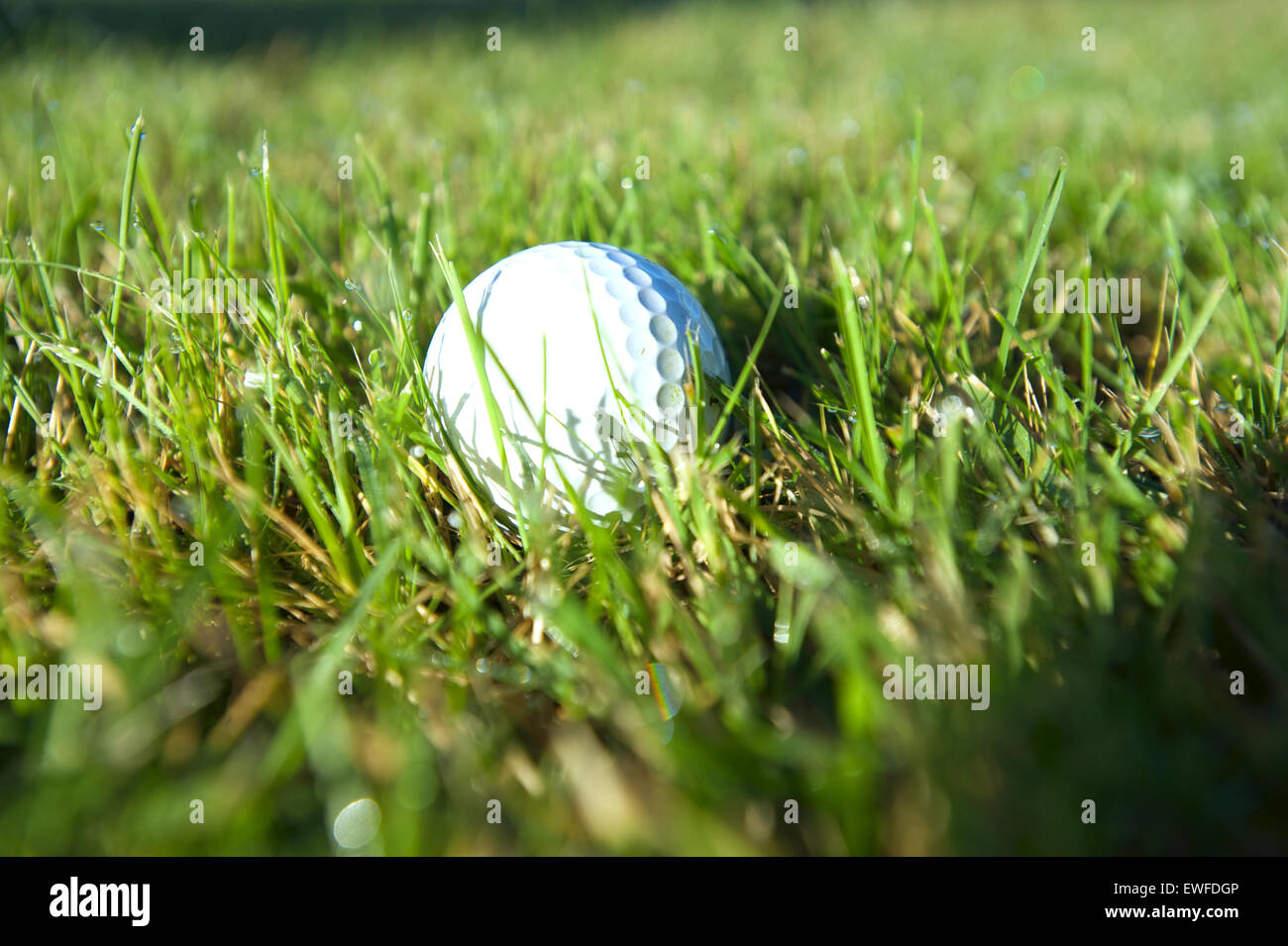 Empty fairway hi-res stock photography and images - Alamy