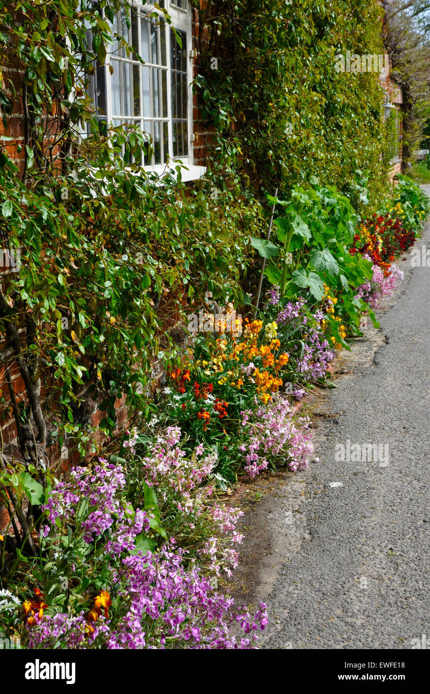 Wallflowers, wall hi-res stock photography and images - Alamy